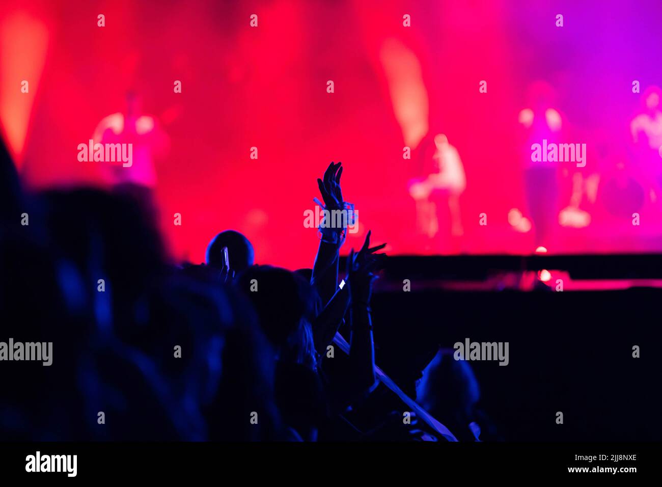 crowd partying stage lights live concert summer music festival Stock ...