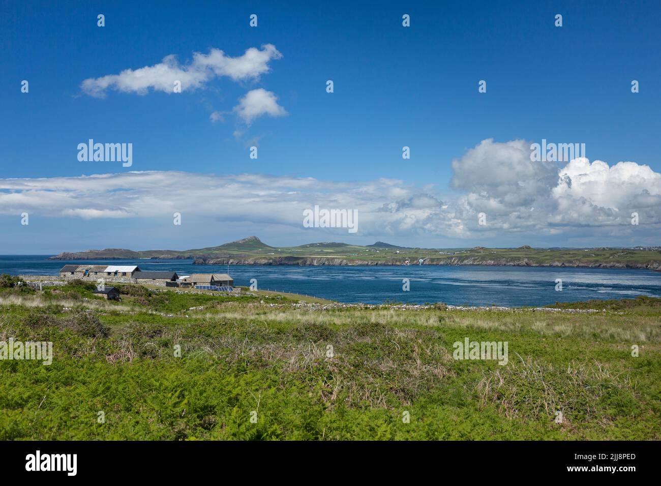 Landscape view from Ramsey Island, Pembrokeshire, Wales, UK, June Stock ...