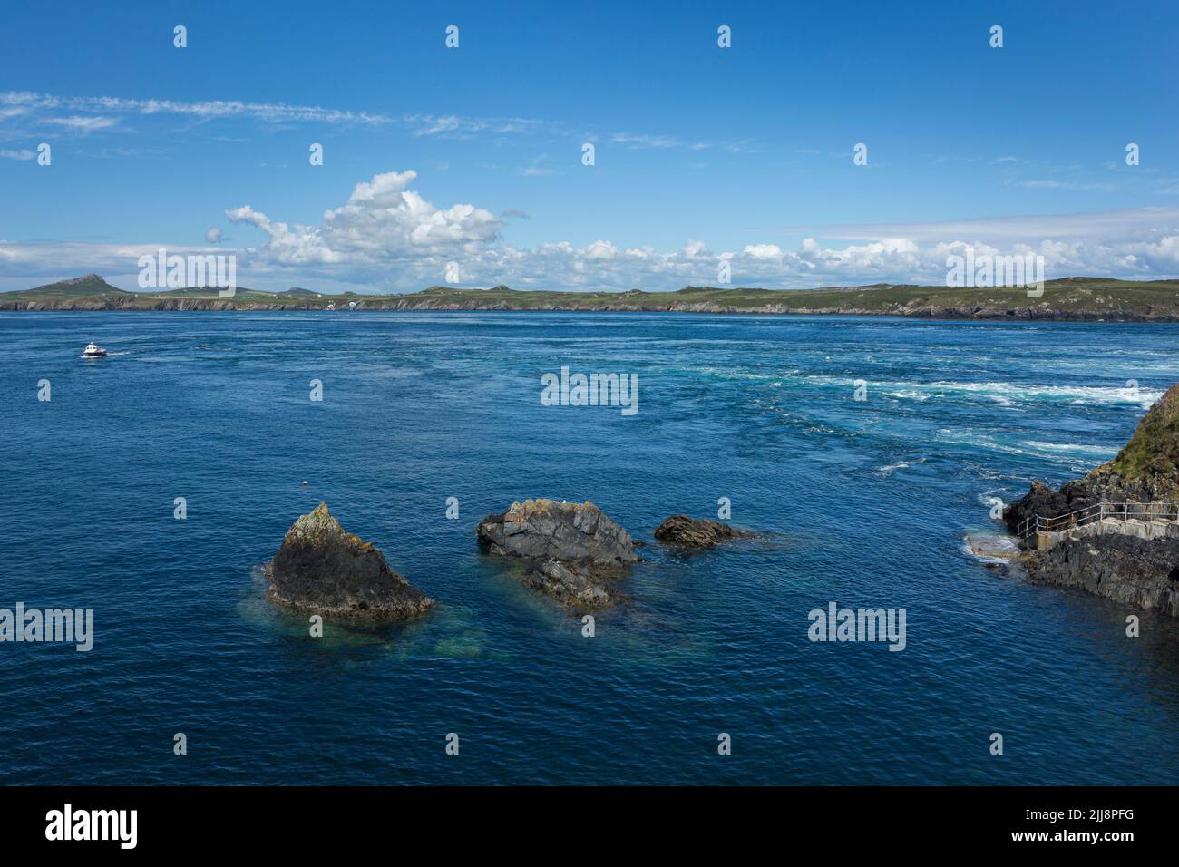 Landscape view from Ramsey Island, Pembrokeshire, Wales, UK, June Stock ...