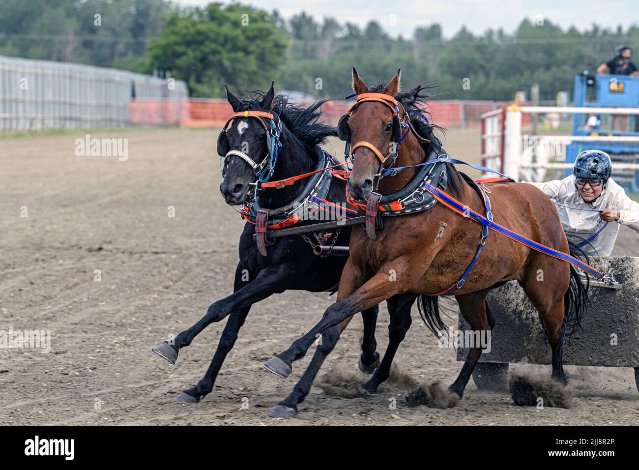 Hobbema hi-res stock photography and images - Alamy