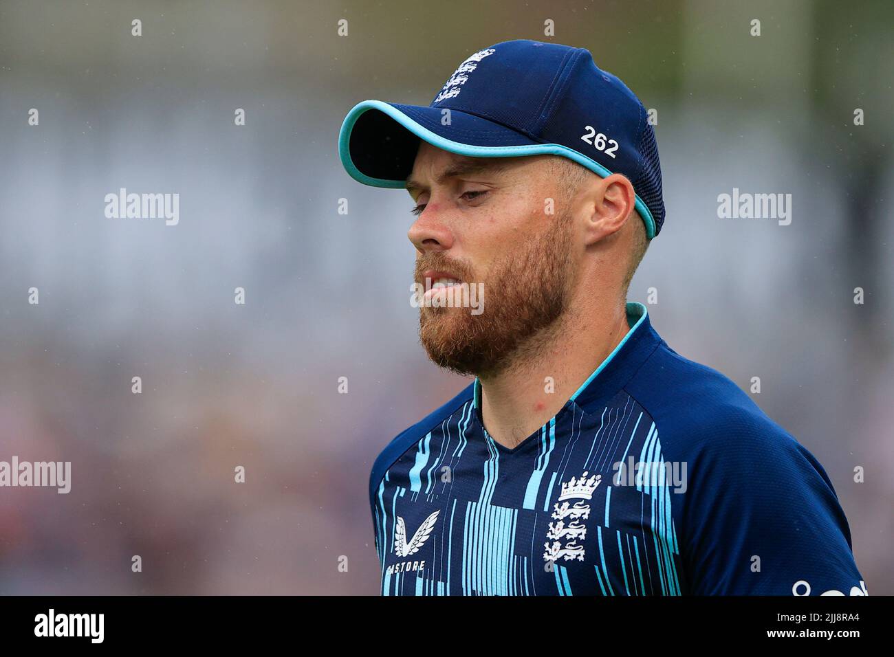 Phil Salt of England Stock Photo - Alamy
