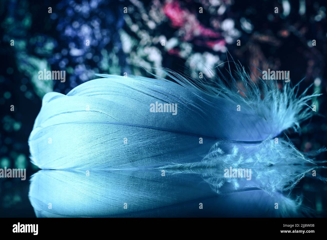 Beautiful blue Bird feather on a bokeh background. Pattern background ...