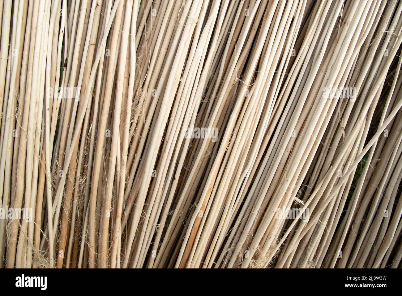 Rows and Rows of brown Jute Sticks Texture background of a field Stock ...