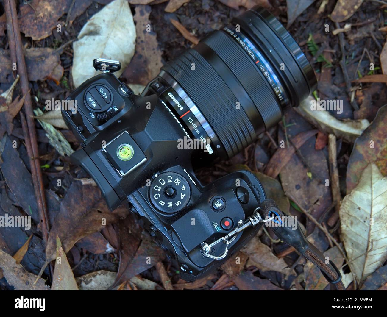 The OM System Olympus OM-1 digital camera on leafy ground Stock Photo ...