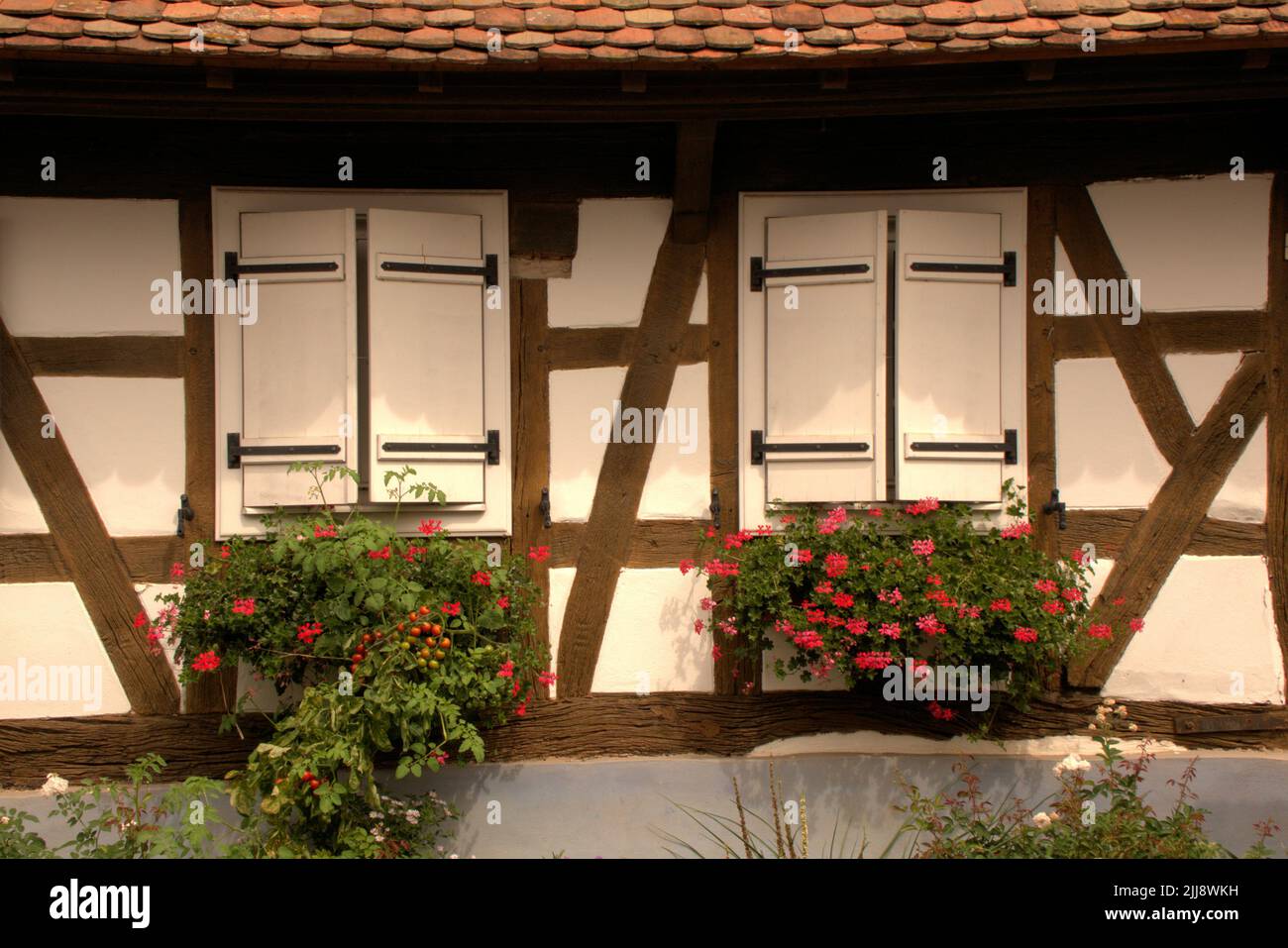 The exterior of a cozy medieval-style home with flowers decorating the ...
