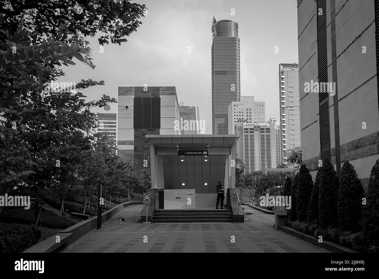 The grayscale of an urban city underpass entrance Stock Photo - Alamy