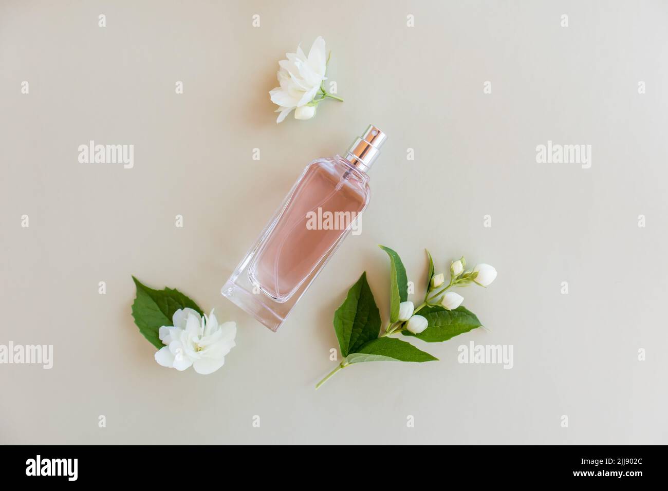 top view of a glass bottle of women's perfume or toilet water with buds ...