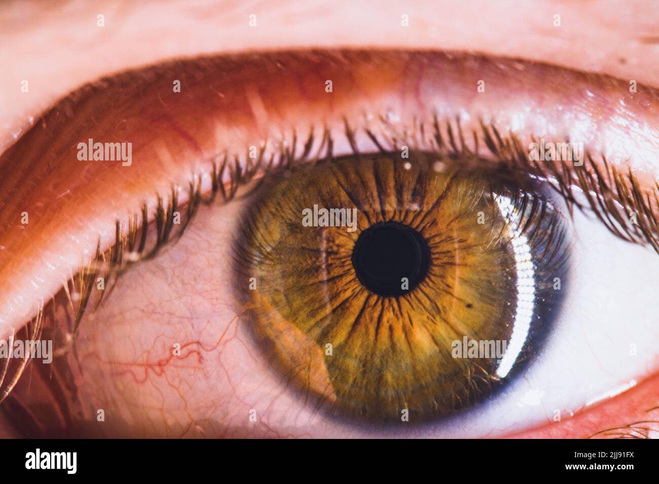 A closeup of human eye with red blood vessels Stock Photo - Alamy
