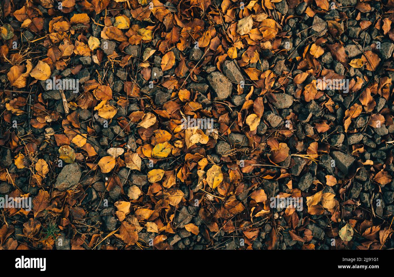 Texture of rocks hi-res stock photography and images - Alamy