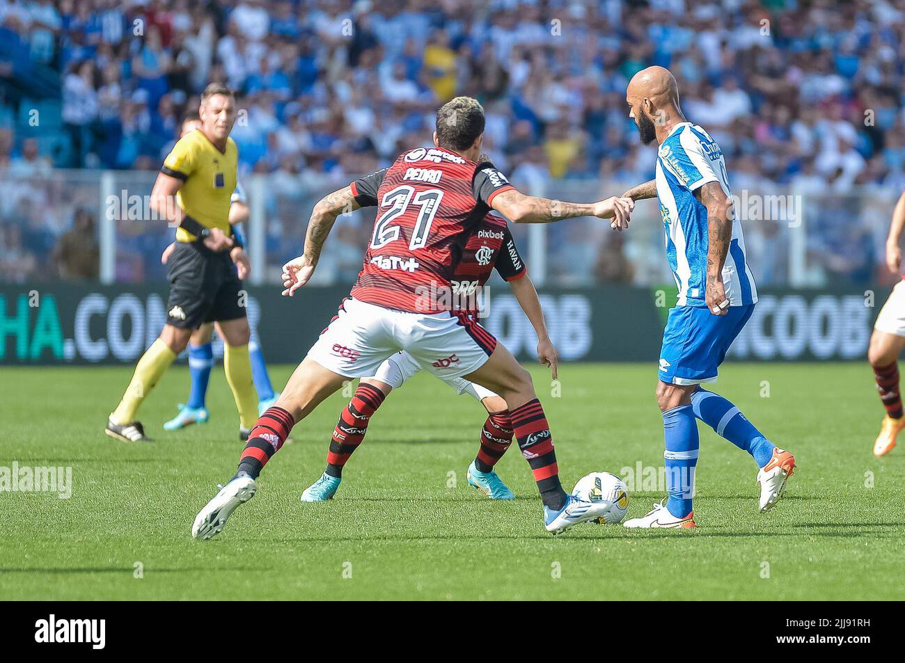 SC - Florianopolis - 07/24/2022 - BRAZILIAN A 2022 - AVAI X FLAMENGO ...