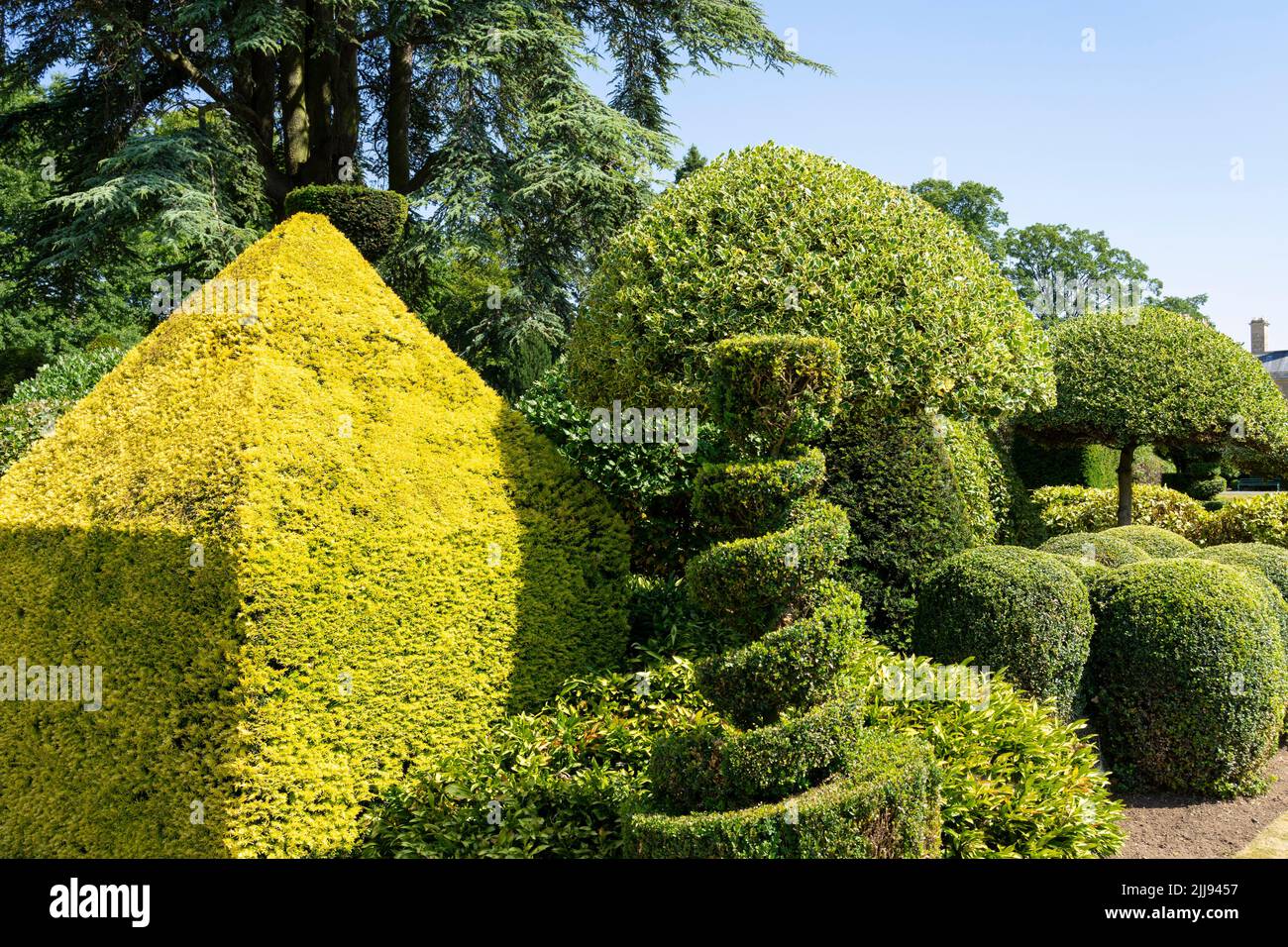 Topiary box hi-res stock photography and images - Alamy