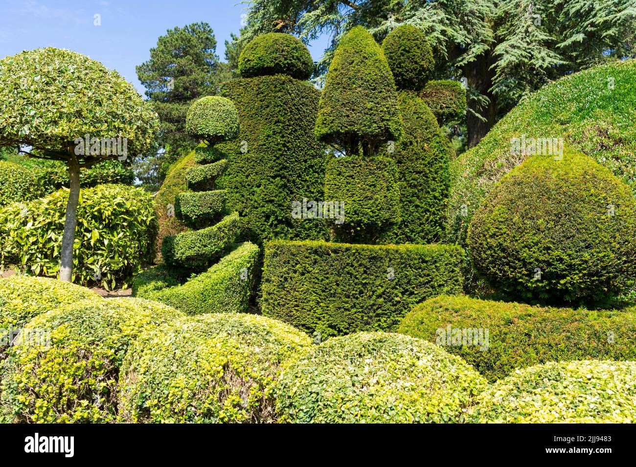 Brodsworth gardens Yew and box Topiary Garden at Brodsworth Hall and ...