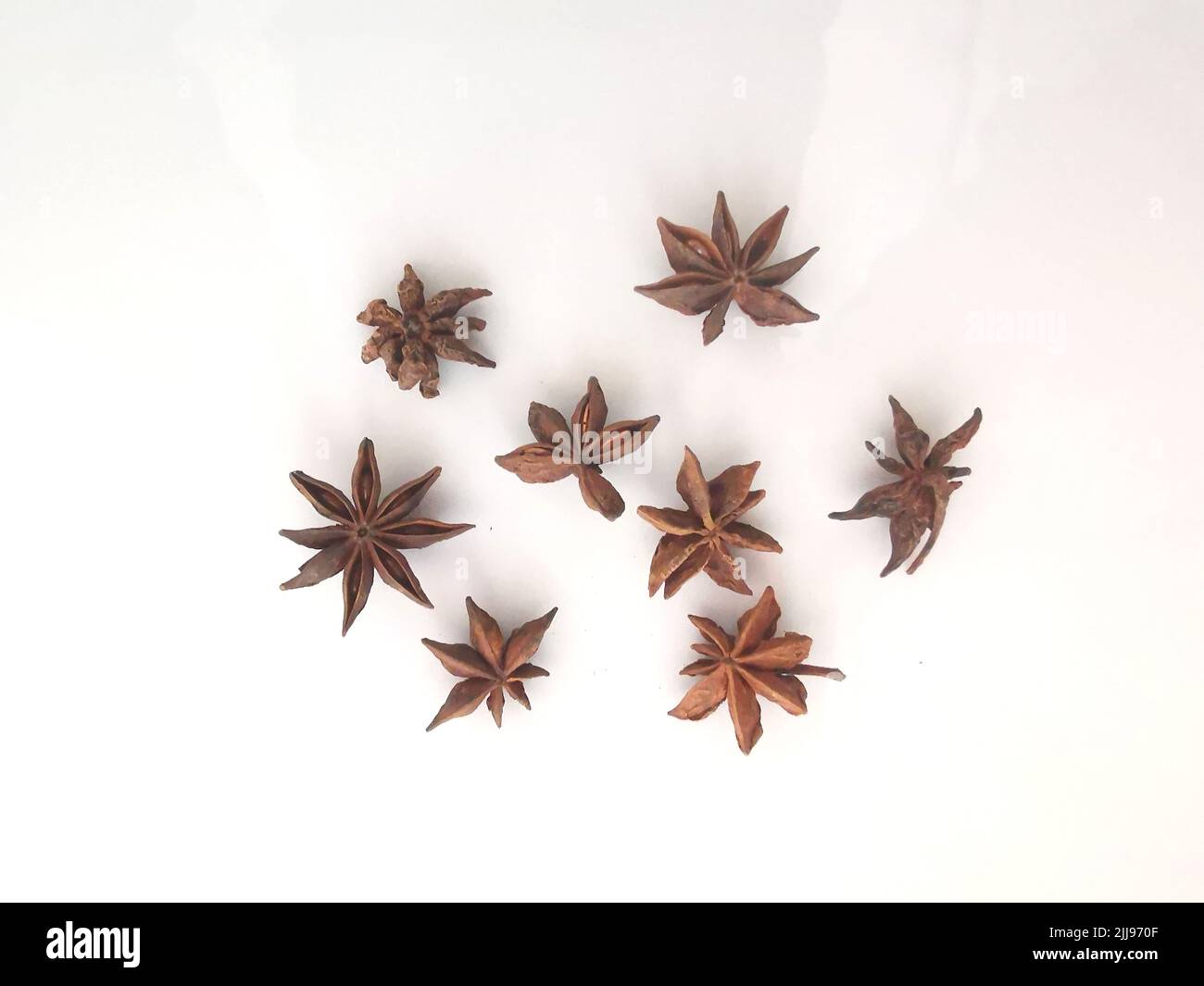 Five star anise spice against plain white background with copy space ...