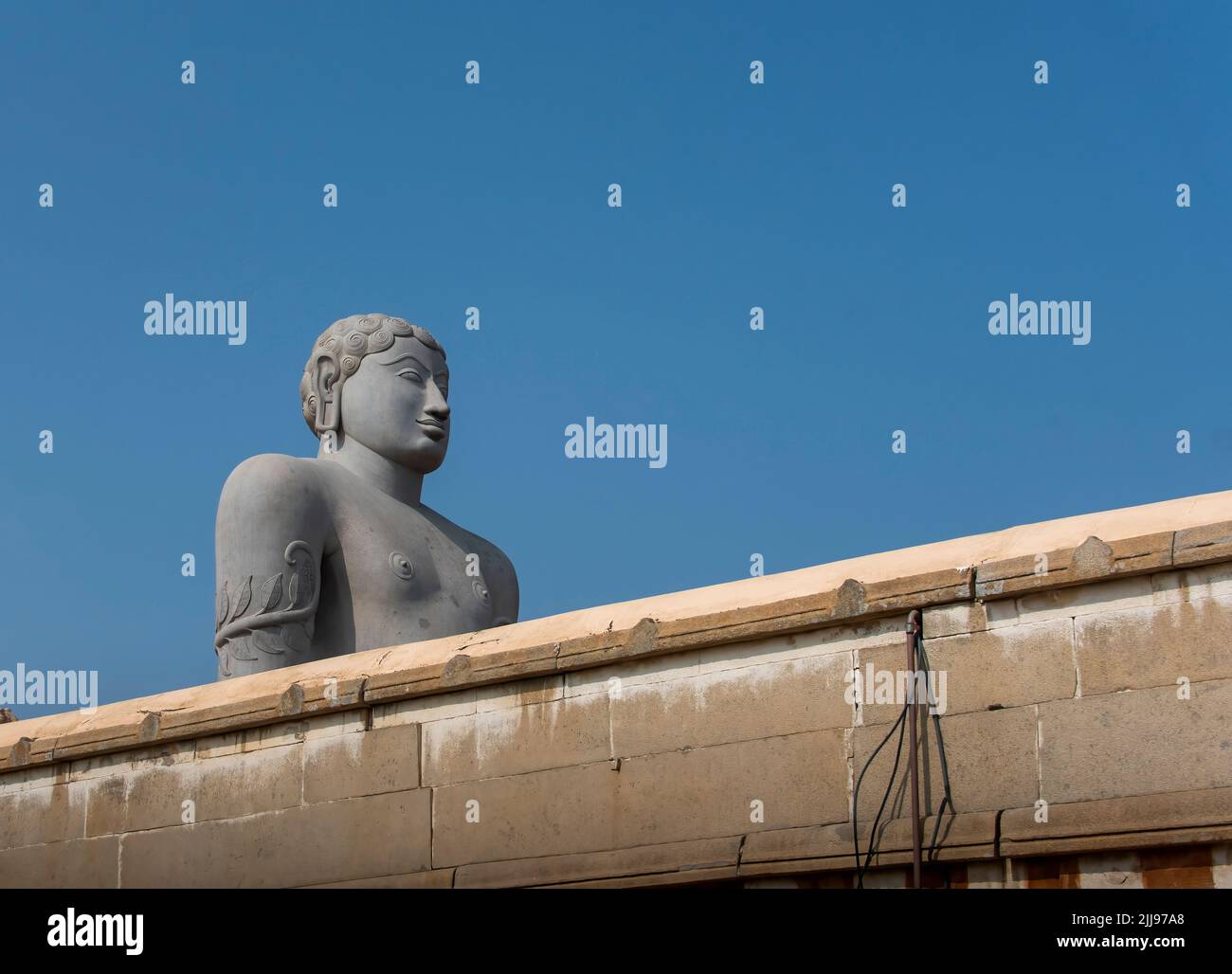 Chandragupta Maurya Family Tree