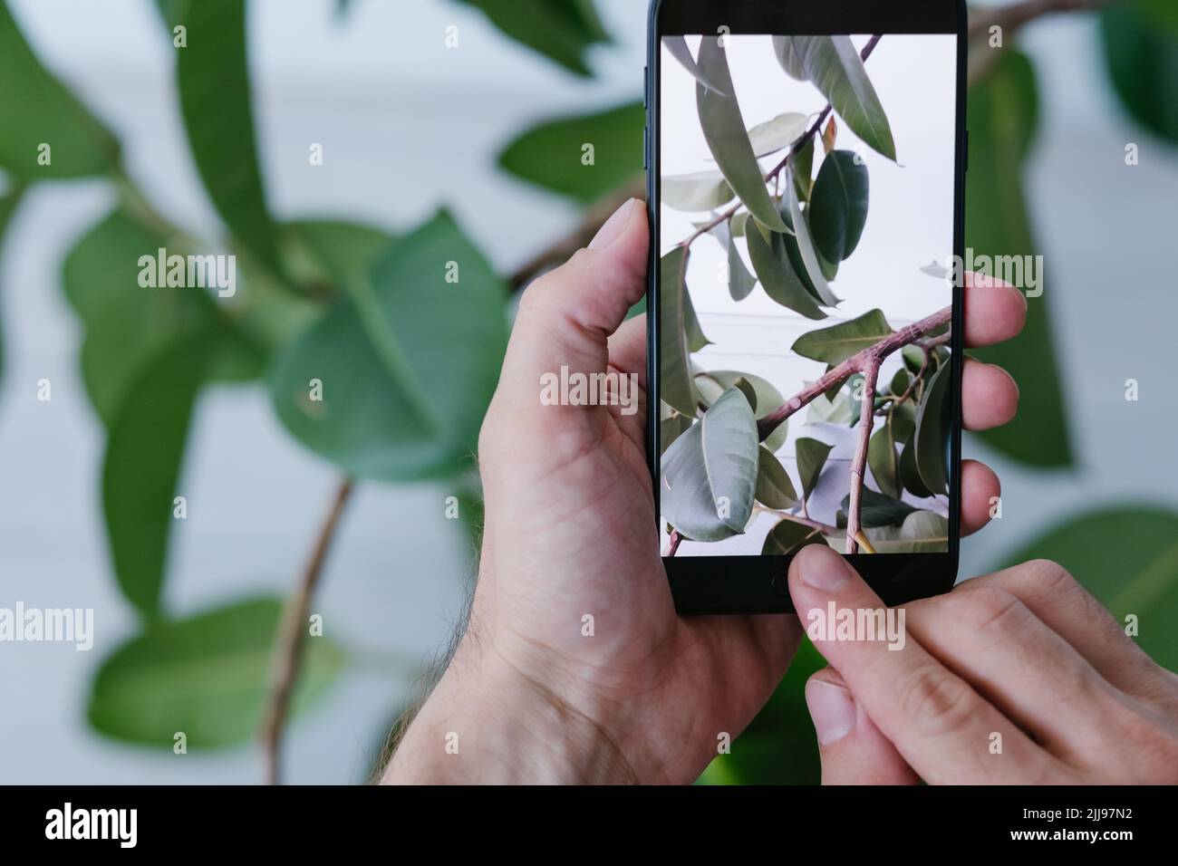 mobile photography art hobby hand phone take photo Stock Photo - Alamy