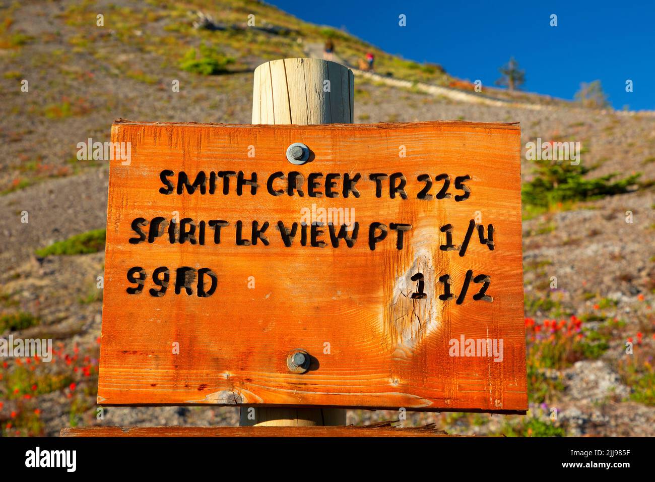 Trail sign at Windy Ridge, Mt St Helens National Volcanic Monument ...