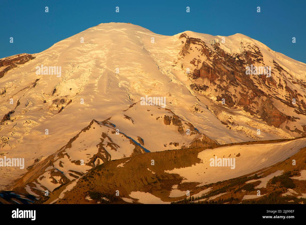 Mt Rainier from Sourdough Ridge Trail, Mt Rainier National Park ...