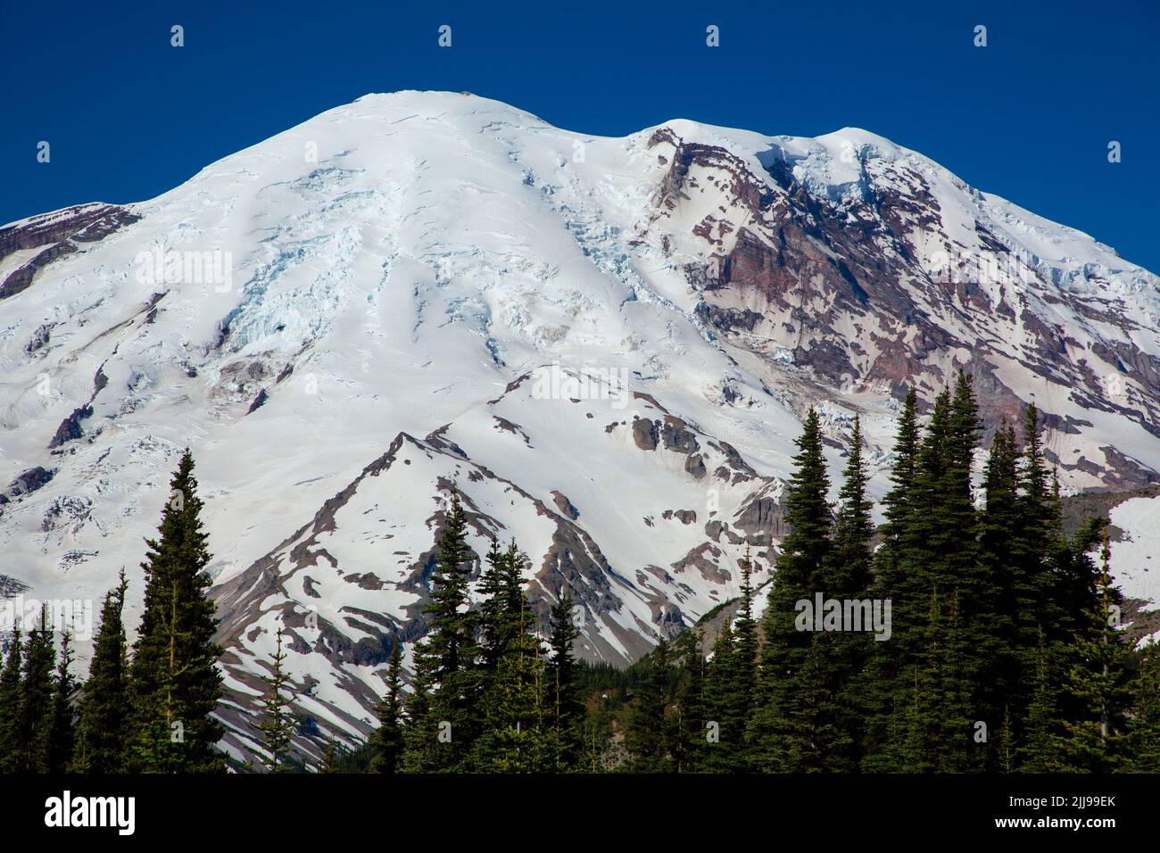 Mt Rainier from Sourdough Ridge Trail, Mt Rainier National Park ...