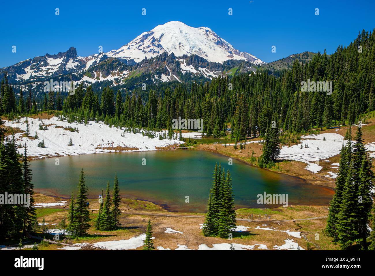 Mt Rainier from Tipsoo Lake, Mt Rainier National Park, Washington Stock ...