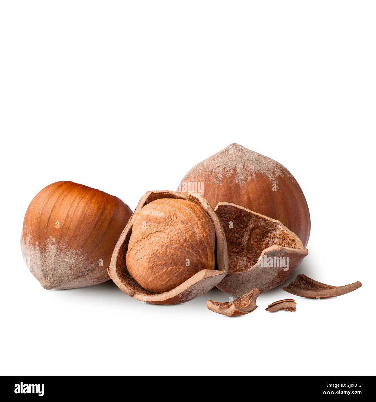 Hazelnuts isolated on white background. Deep focus Stock Photo - Alamy
