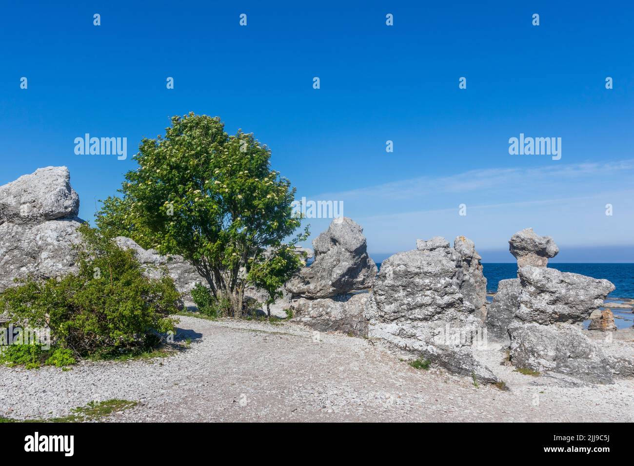 limestone pillars on Gotland in Sweden Stock Photo - Alamy