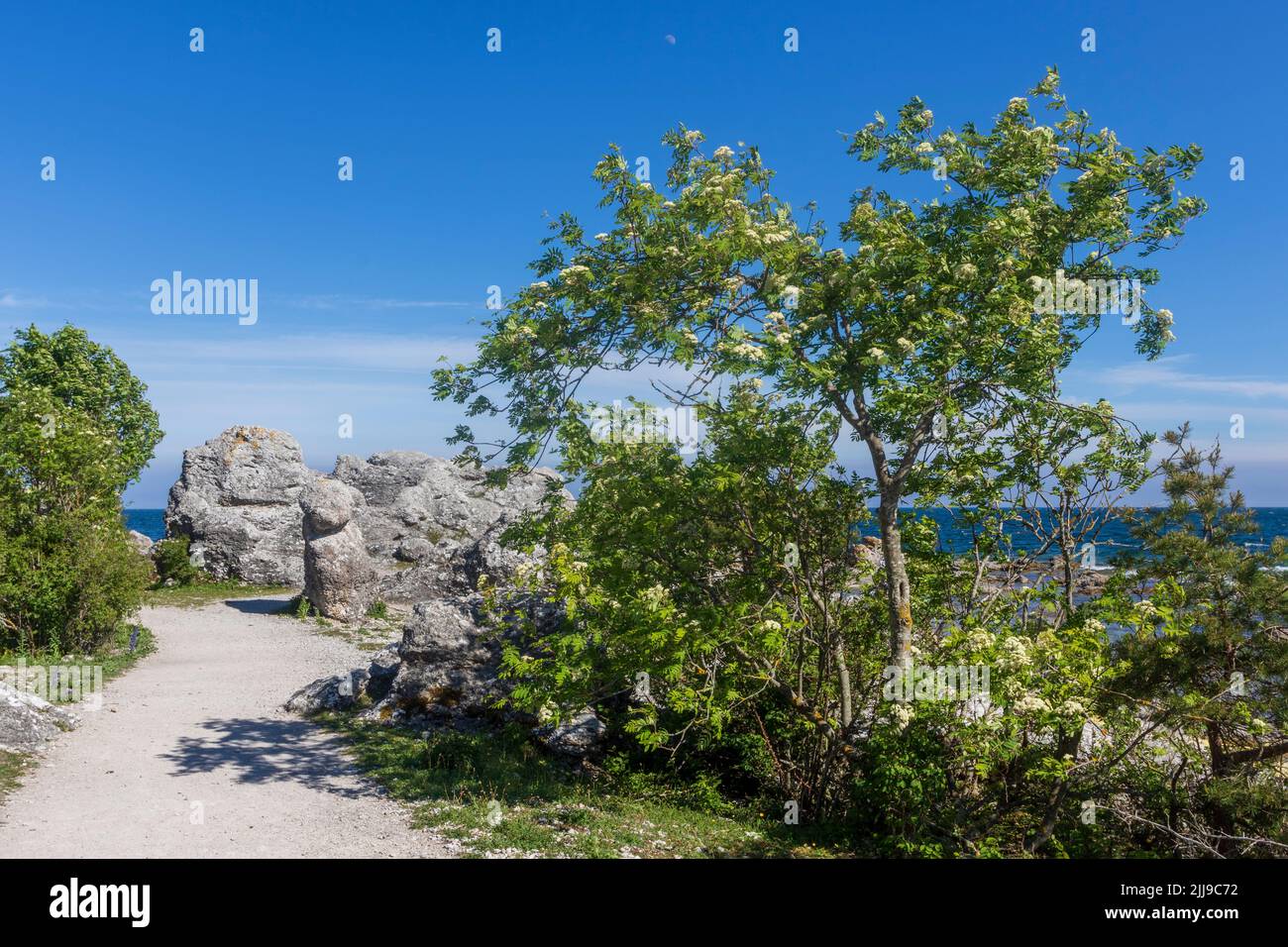 limestone pillars on Gotland in Sweden Stock Photo - Alamy
