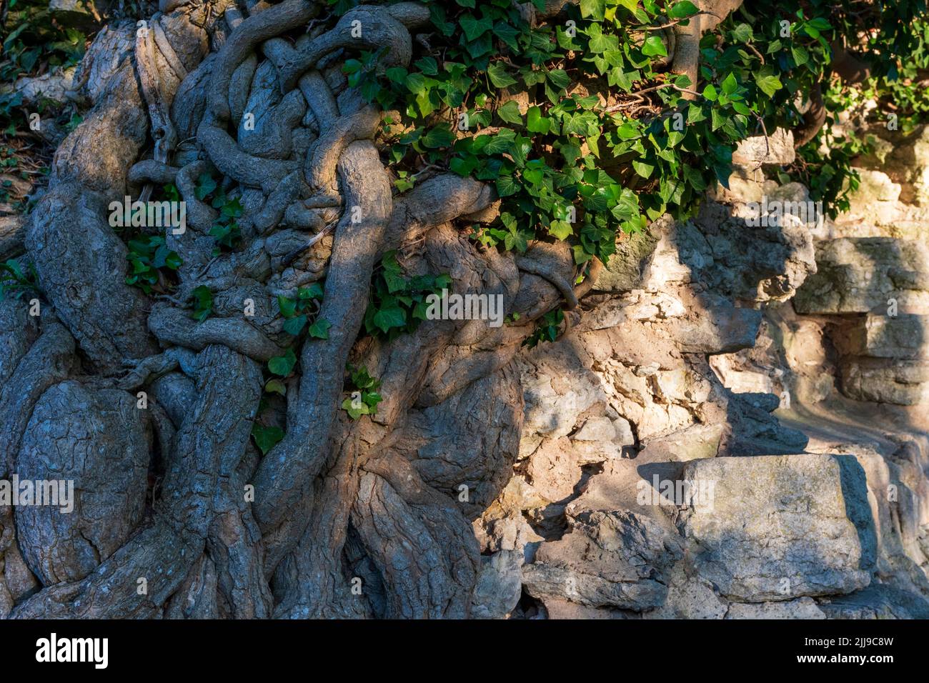 Botanical garden visby hi-res stock photography and images - Alamy