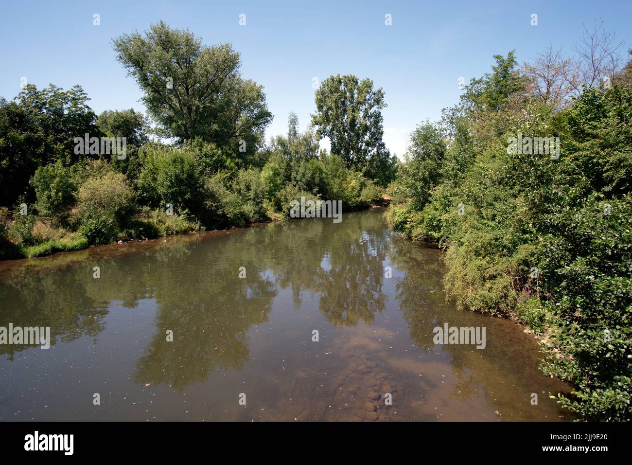 Riparian woodland hi-res stock photography and images - Alamy