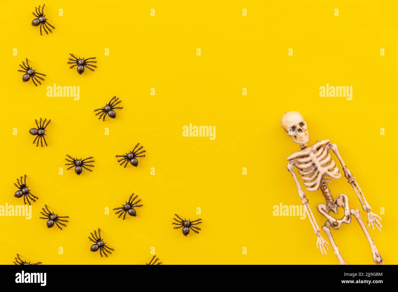 Halloween minimal decorations, composition with many black spiders and ...