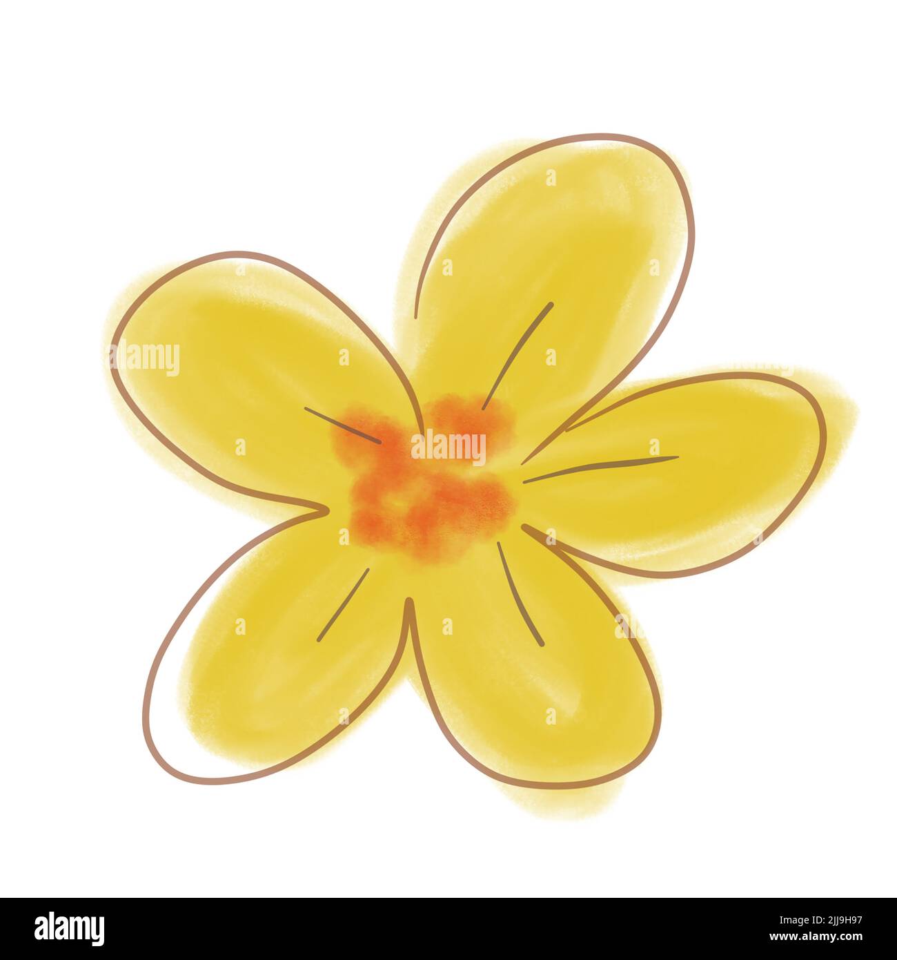Yellow flower drawing hi-res stock photography and images - Alamy
