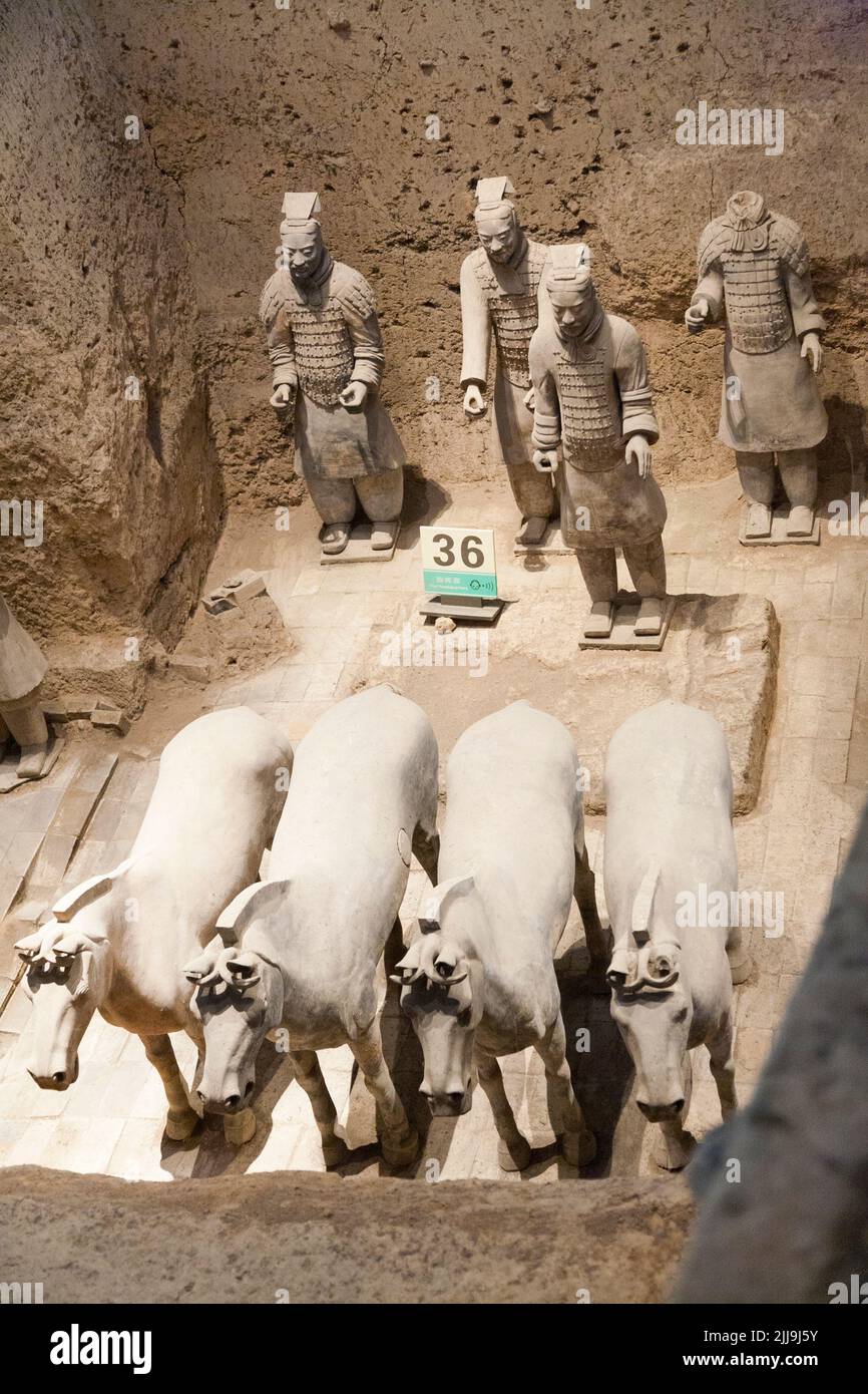 Horsemen and horses discovered in pit 3 at The Terracotta Army dig, at ...