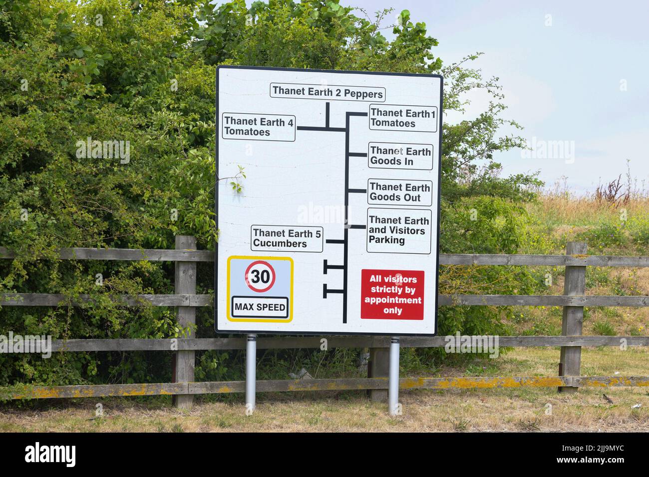 Thanet earth cucumbers hi-res stock photography and images - Alamy