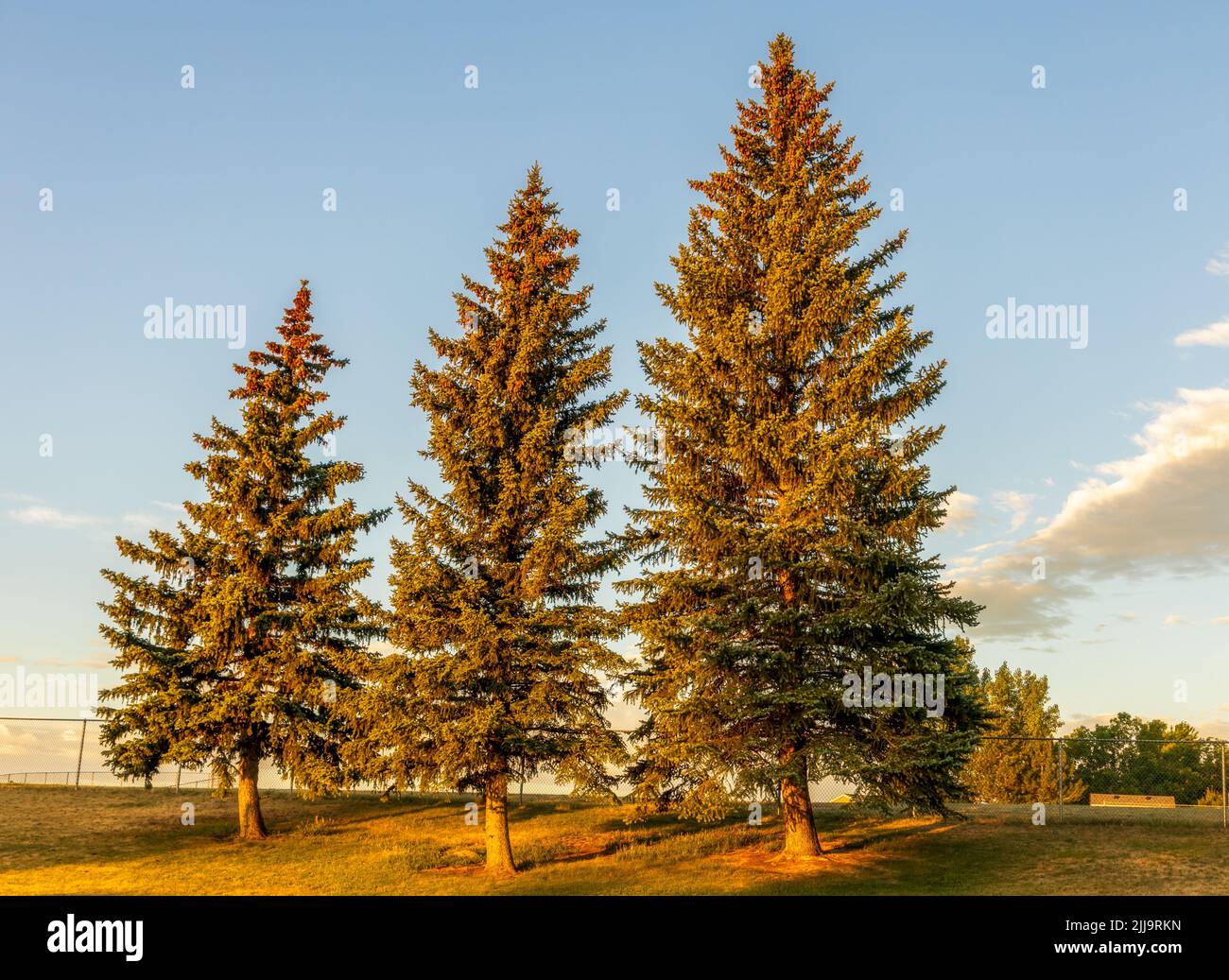 Beautiful neighborhood in colorado rocky hi-res stock photography and ...