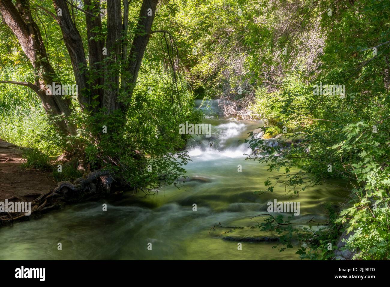 Beautiful stream rushing down a steep incline in Rifle Falls State Park ...