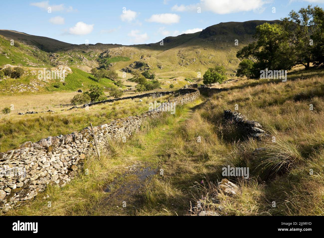 Dry stone wall at Swindale Head, Lake District, UK Stock Photo - Alamy