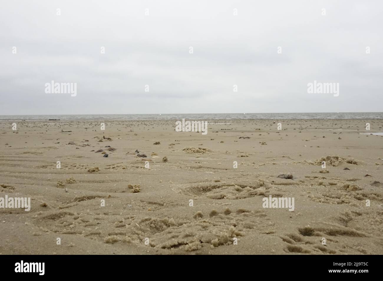 A wide sandy beach of Sahlenburg under the gloomy sky, Cuxhaven ...