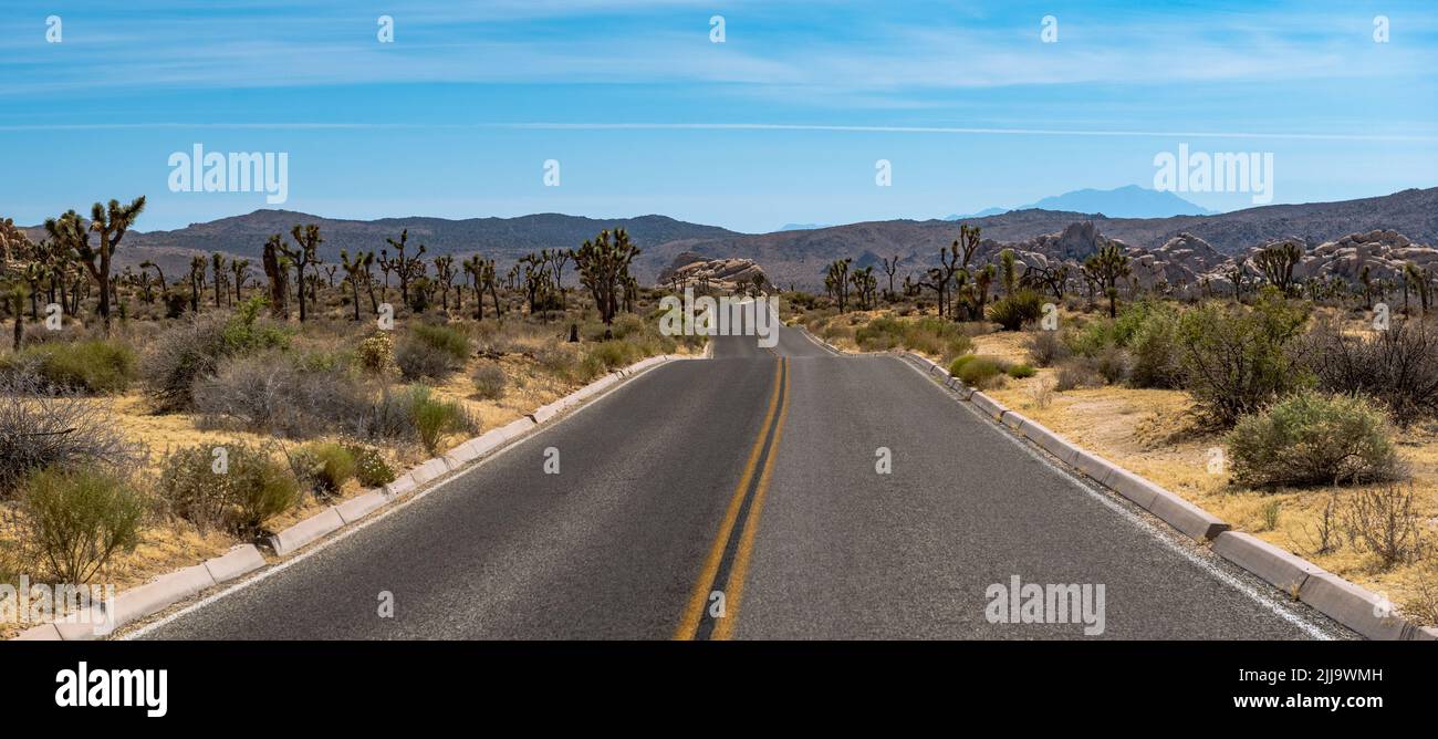 A road through Joshua Tree National Park in California, USA Stock Photo ...