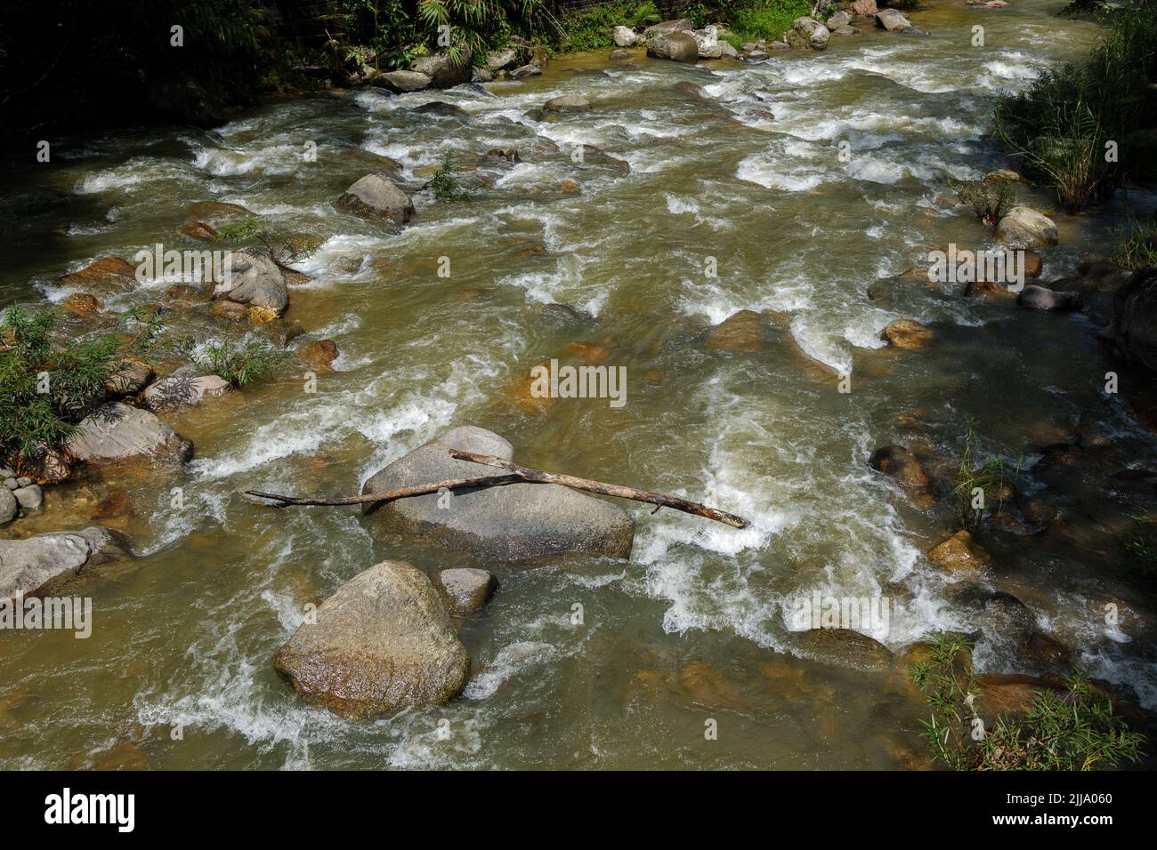 Twig on the rock between rapid stream at canal surrounded with tropical ...