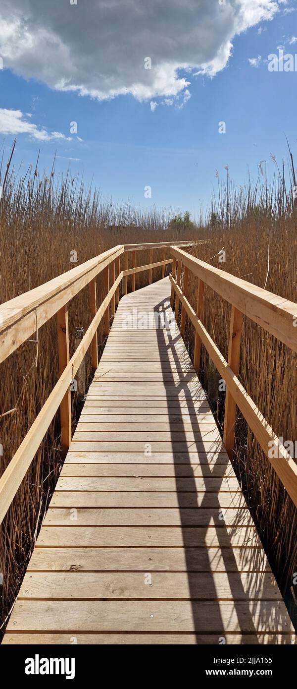 Store hoj so hi-res stock photography and images - Alamy