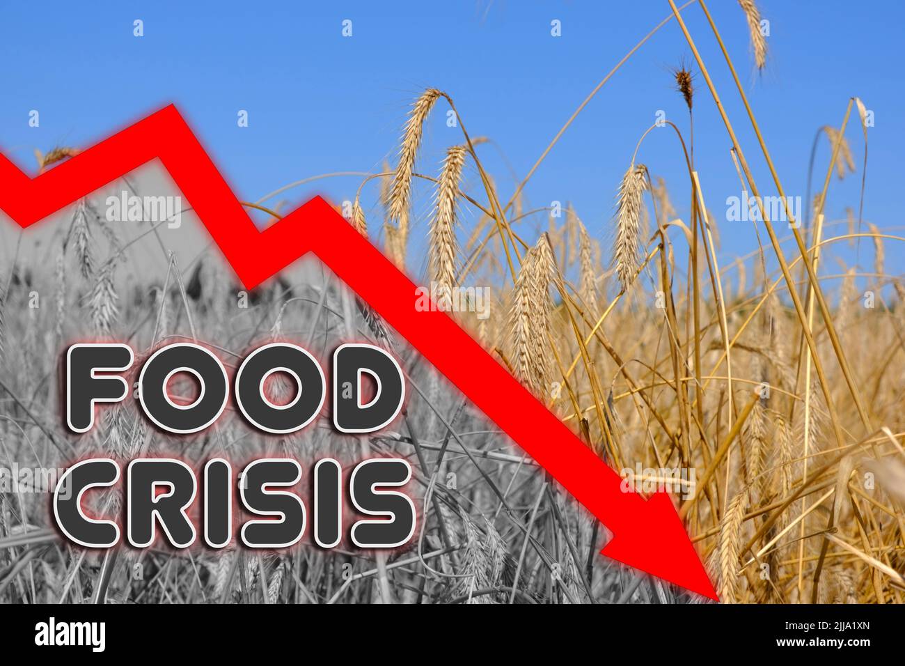 Food crisis. World problems with the supply of wheat, a chart of ...
