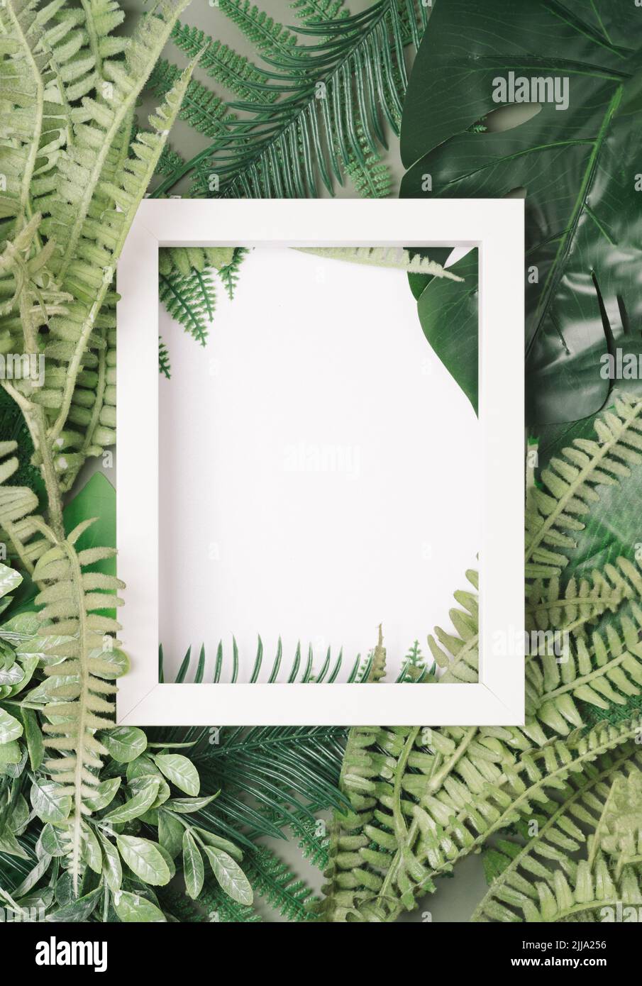 Jungle frame hi-res stock photography and images - Alamy