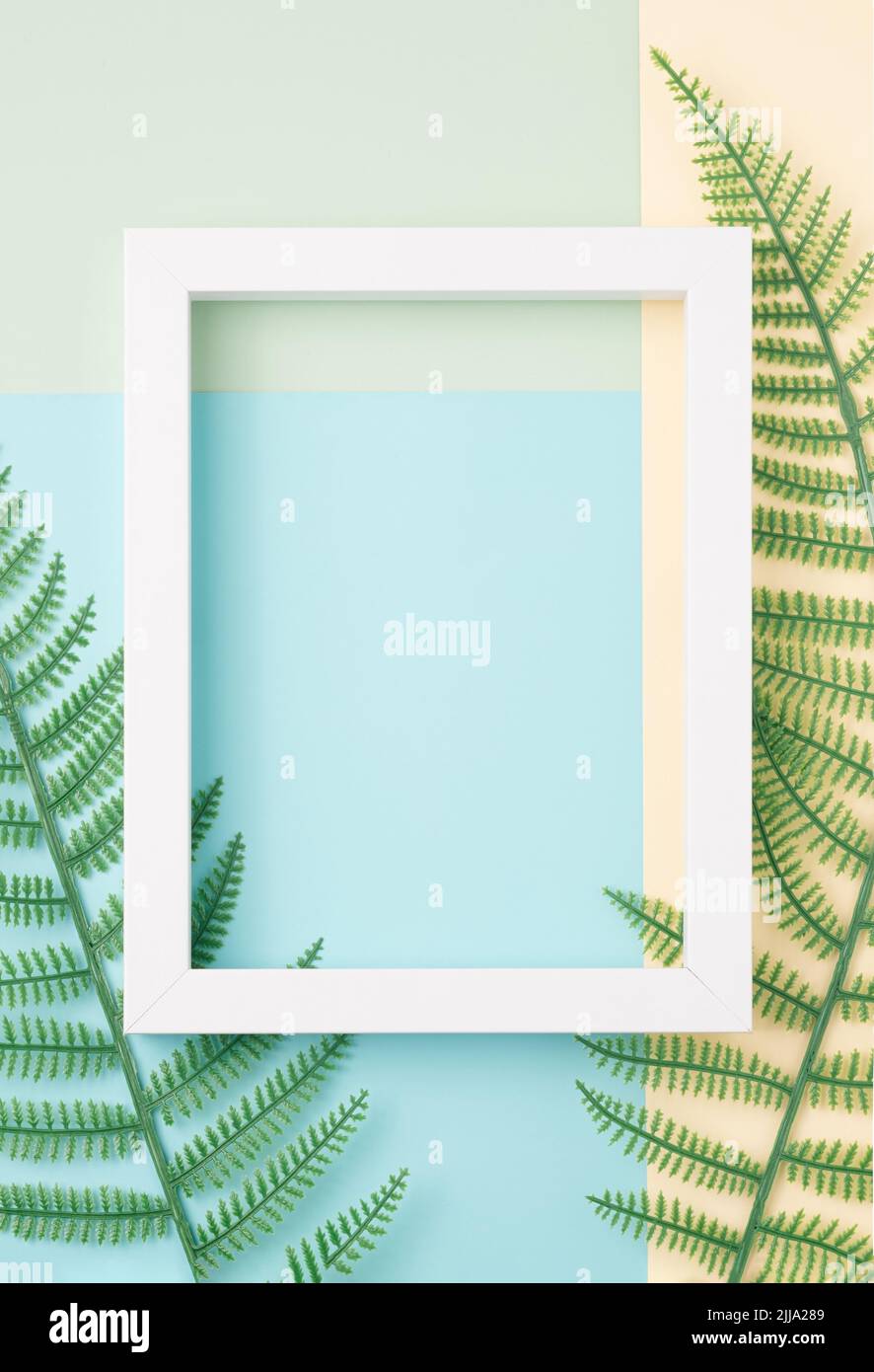 Rectangle frame with fern leaves on a pastel background. Nature ...
