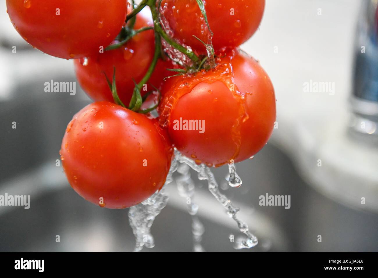 Tomato being rinsed hi-res stock photography and images - Alamy