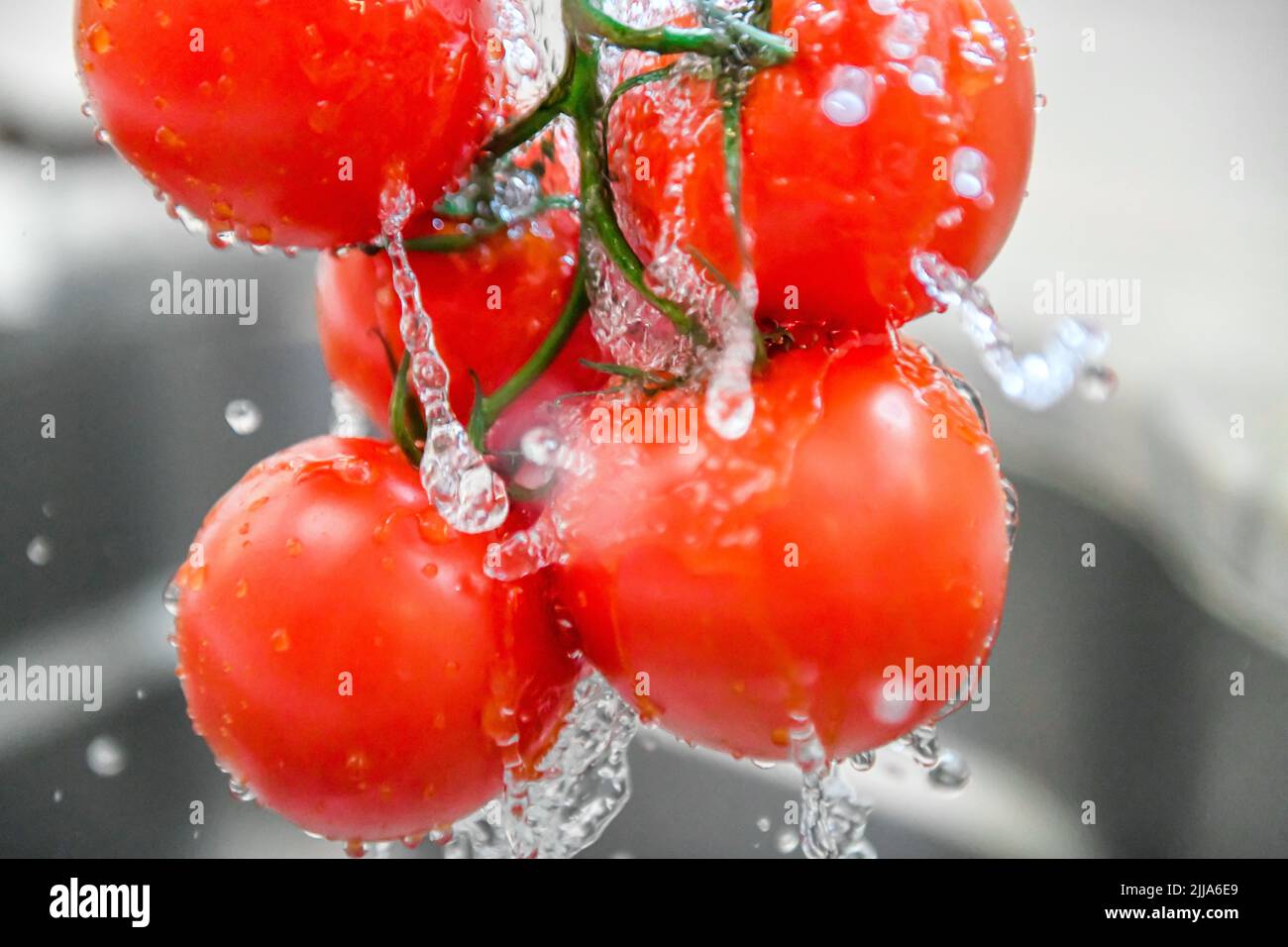 Tomato being rinsed hi-res stock photography and images - Alamy