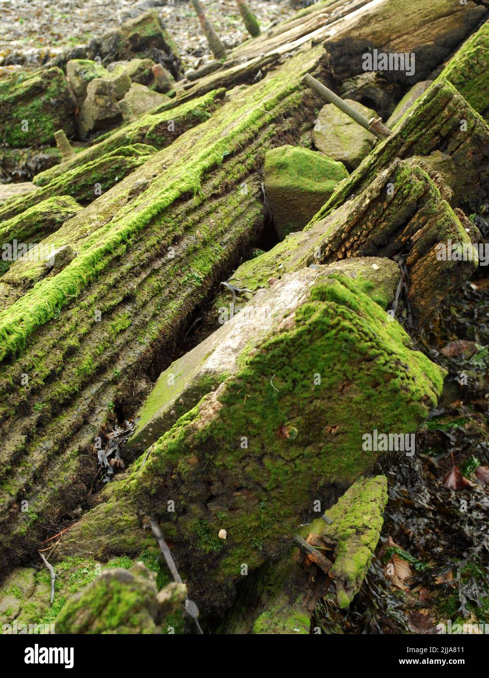 épave marine hi-res stock photography and images - Alamy