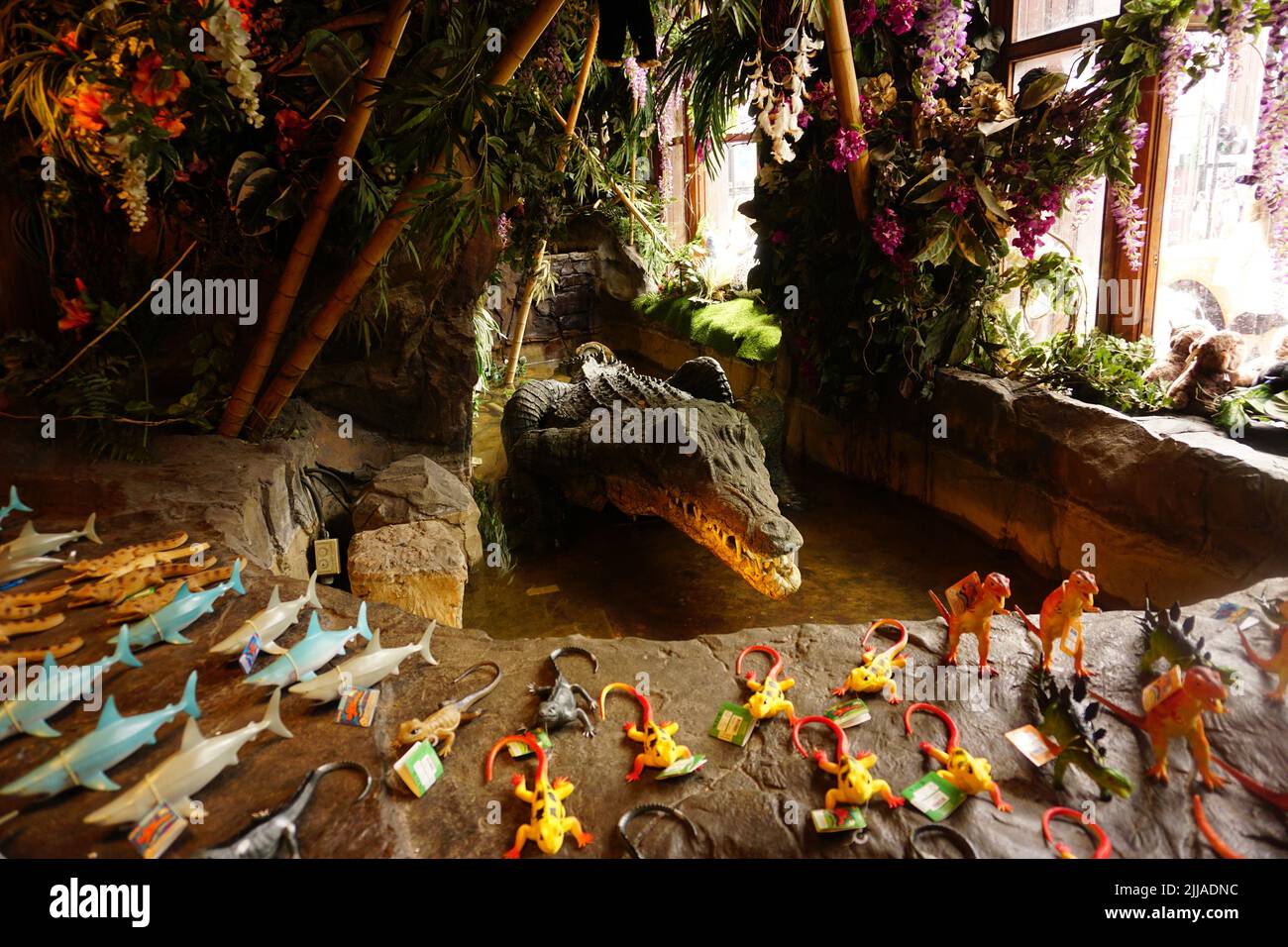 The cafe at urban jungle hi-res stock photography and images - Alamy