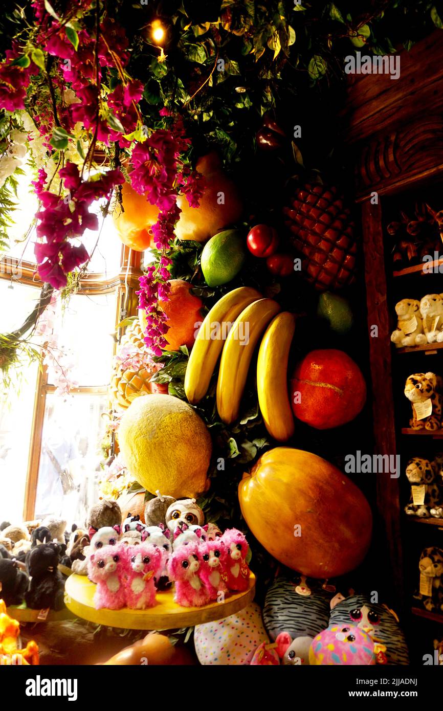 Jungle themed hi-res stock photography and images - Alamy