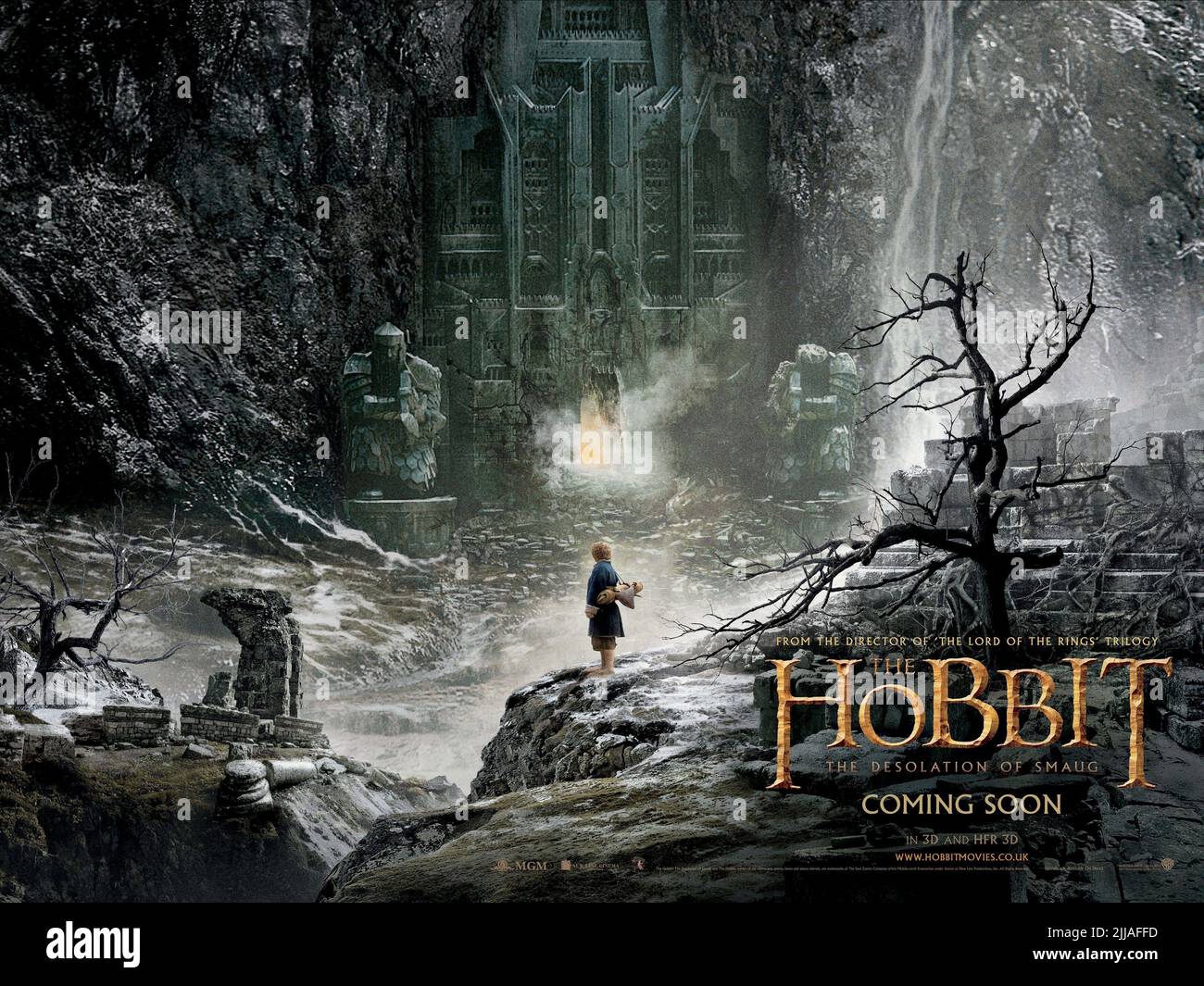 The Hobbit 2 Movie Poster