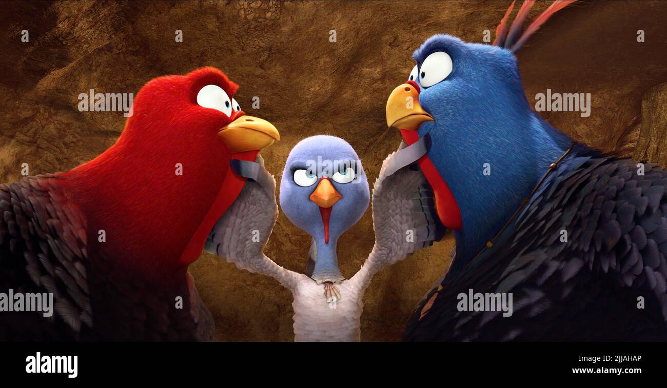 REGGIE,JAKE,RANGER, FREE BIRDS, 2013 Stock Photo - Alamy