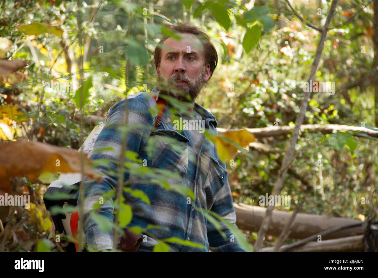 NICOLAS CAGE, JOE, 2013 Stock Photo - Alamy
